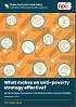 What makes an anti-poverty strategy effective?